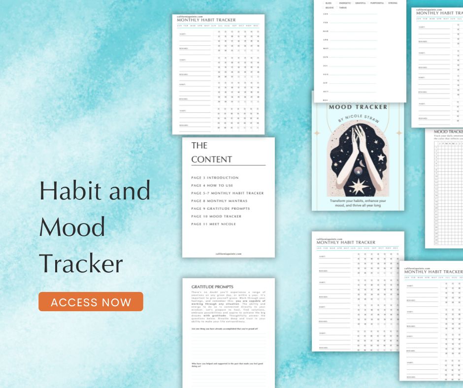 Habit and Mood Tracker Bundle – California Pointe
